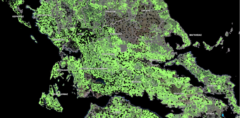 ΔΑΣΙΚΟΙ ΧΑΡΤΕΣ - ΤΕΧΝΙΚΟ ΓΡΑΦΕΙΟ ΖΑΡΑΒΕΛΗΣ